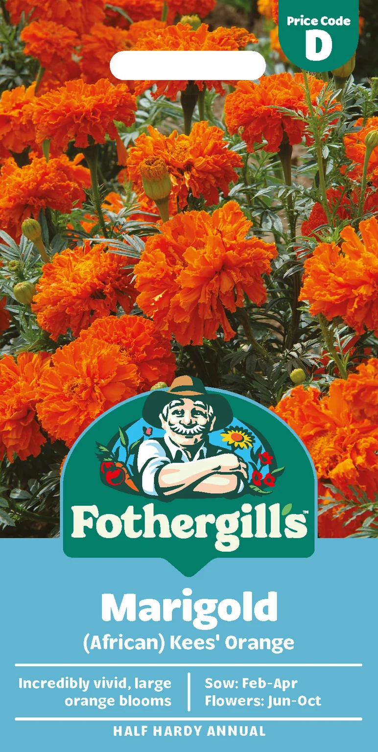 Marigold (African) Kees' Orange Seeds - Cowell's Garden Centre ...