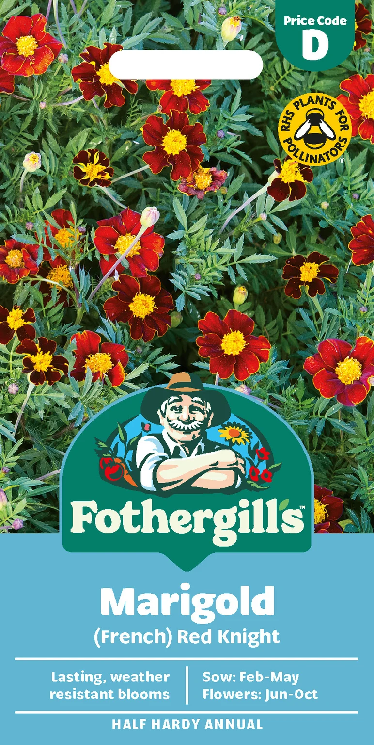 Marigold (French) Red Knight Seeds - Cowell's Garden Centre | Woolsington
