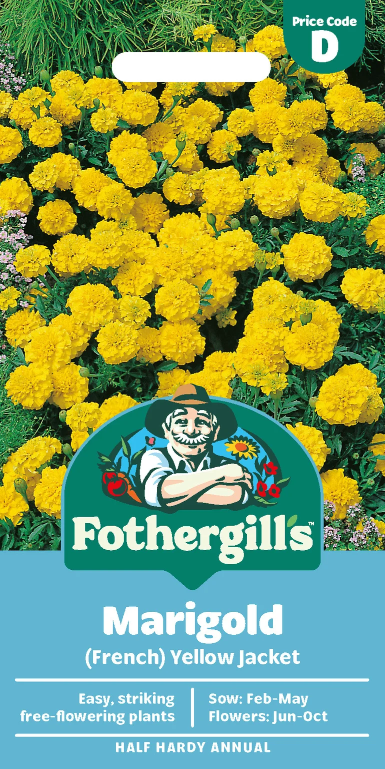 Marigold (French) Yellow Jacket Seeds - Cowell's Garden Centre ...