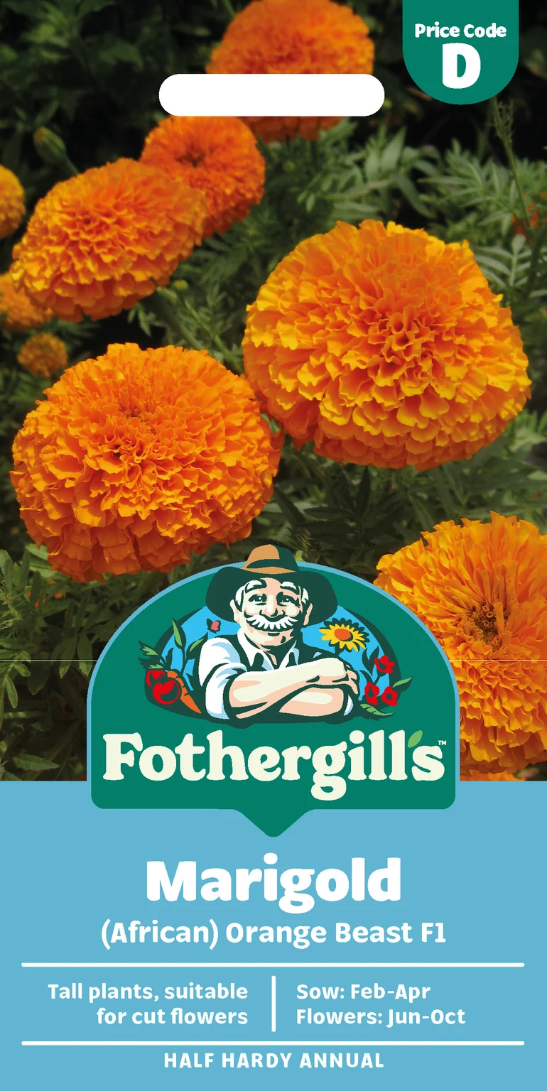 Marigold Orange Beast Seeds - Cowell's Garden Centre | Woolsington