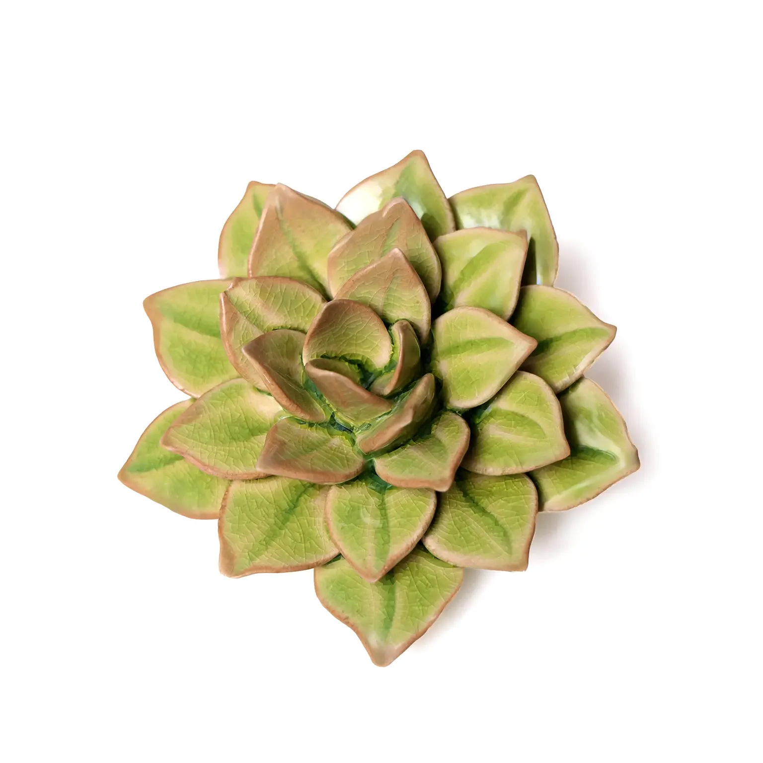 Medium Succulent Wall Art - Cowell's Garden Centre | Woolsington