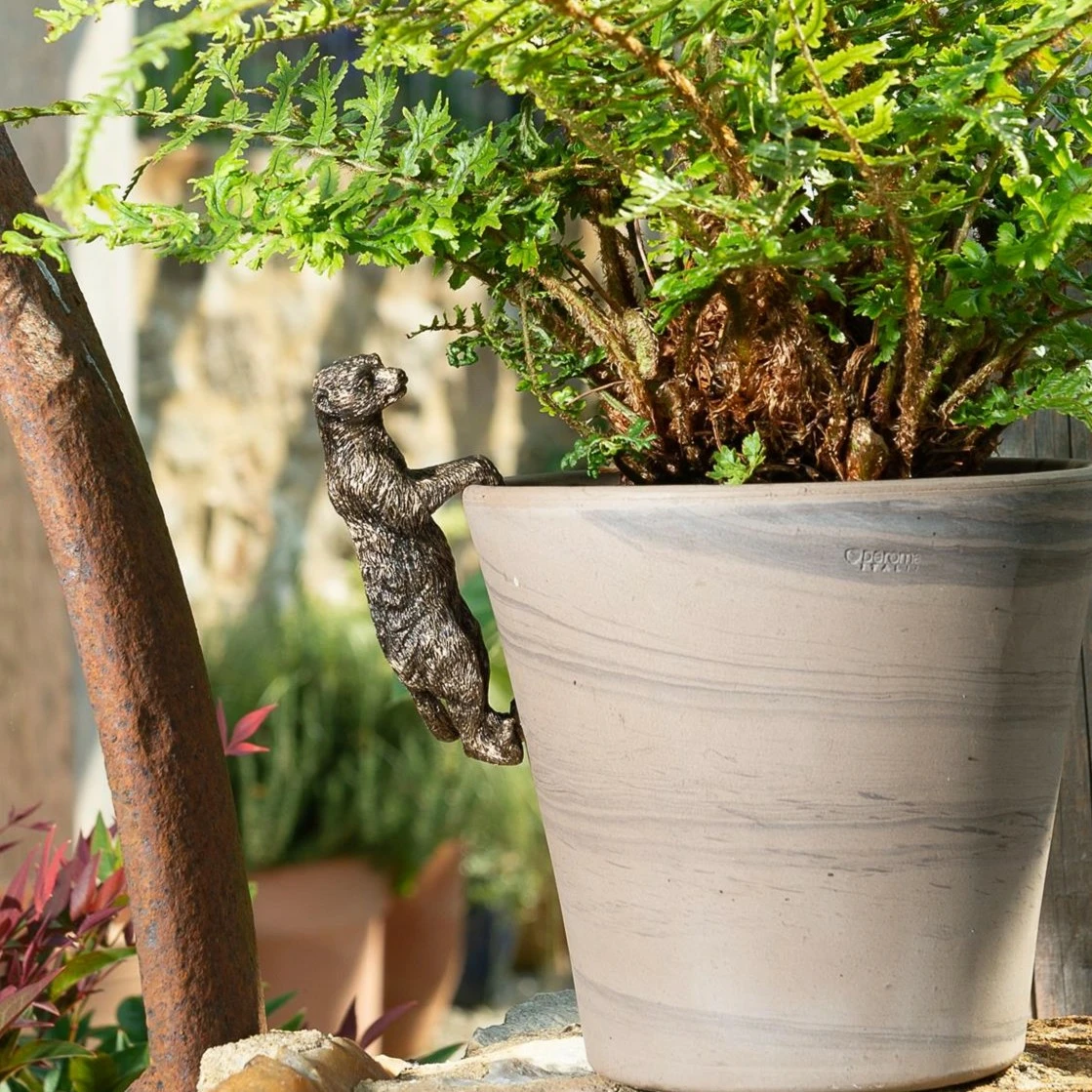 Meerkat Pot Buddy - Cowell's Garden Centre | Woolsington