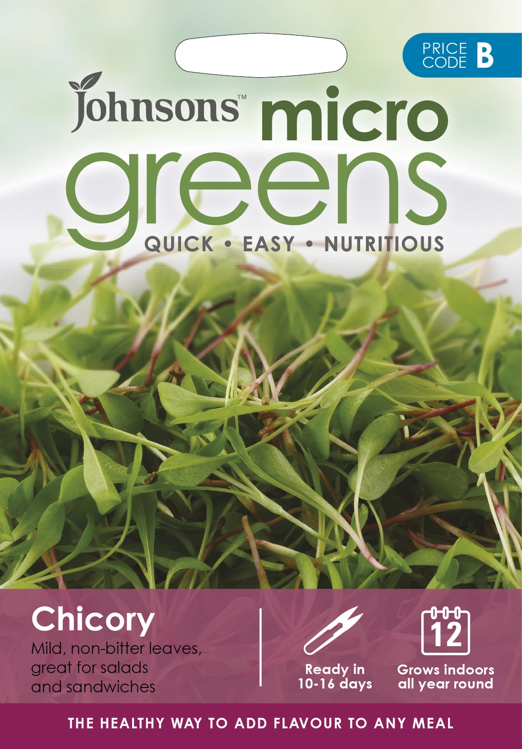 Microgreens Chicory Seeds - Cowell's Garden Centre | Woolsington