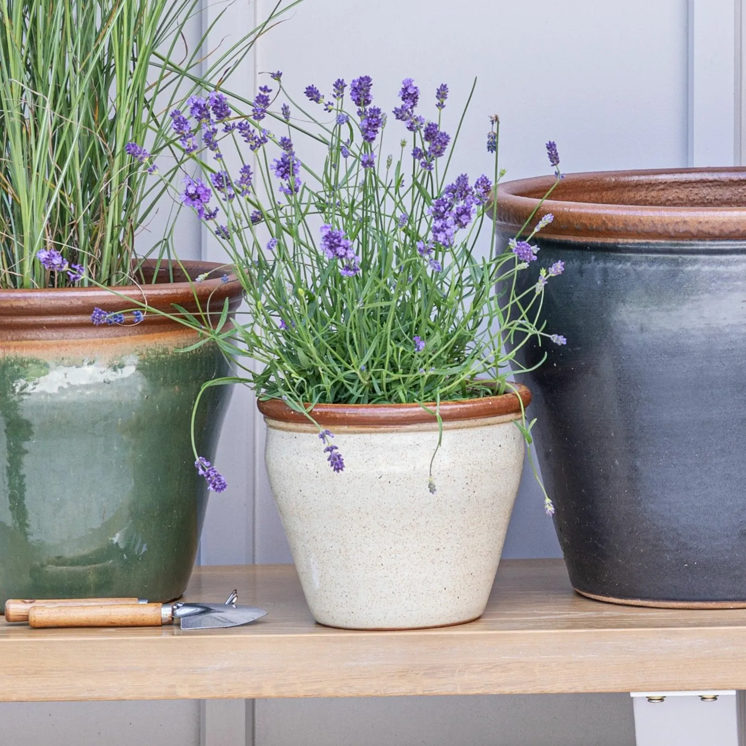Ivyline Morgan Ivory Rolled Rim Planter Ø20cm - Cowell's Garden Centre ...