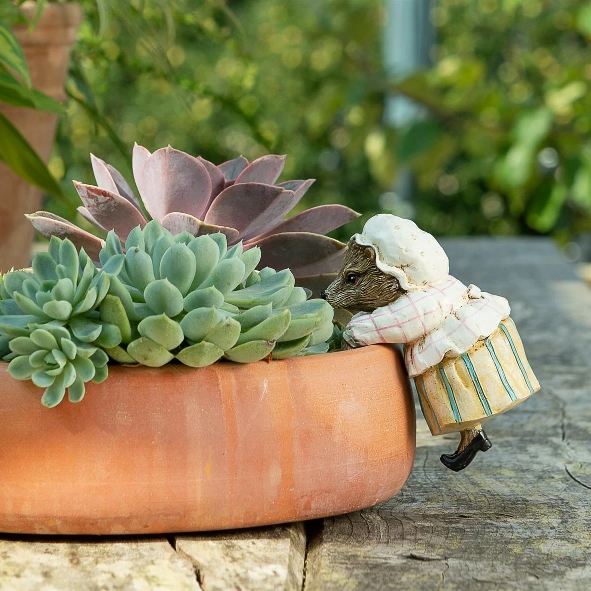 Mrs Tiggy-Winkle Pot Buddy - Cowell's Garden Centre | Woolsington