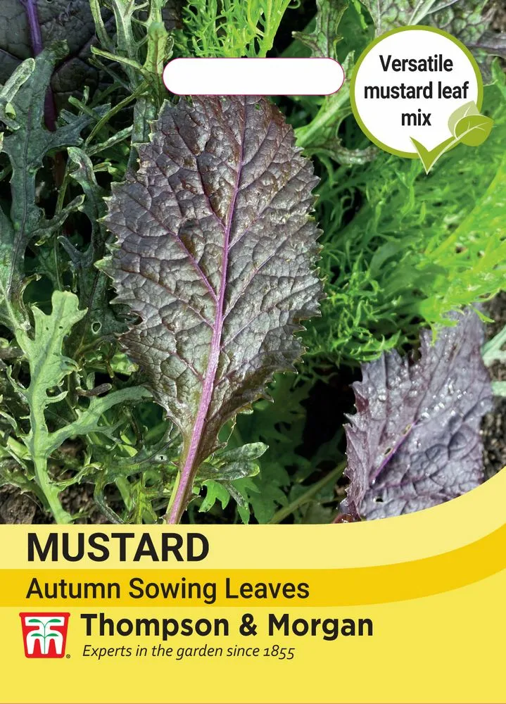 Mustard Leaves (Autumn sowing) - Cowell's Garden Centre | Woolsington