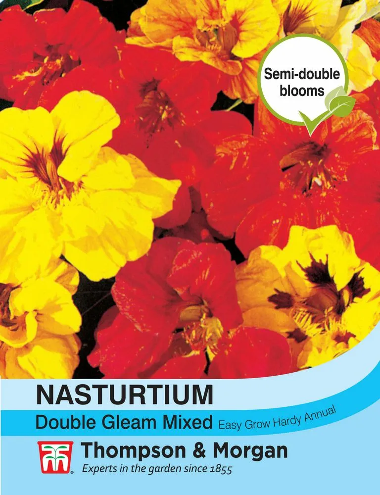 Nasturtium Double Gleam Mixed Seeds - Cowell's Garden Centre | Woolsington