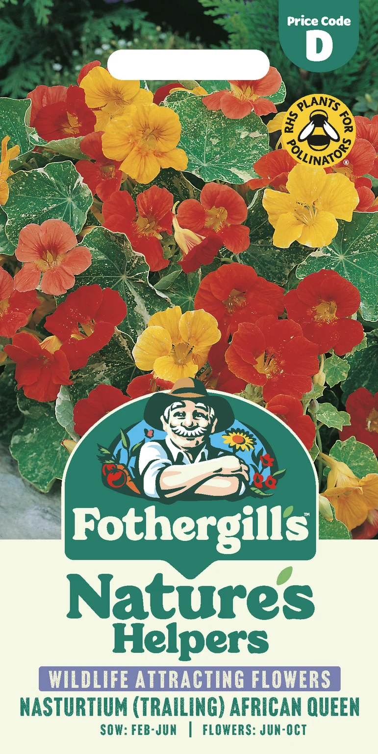 Nasturtium (Trailing) African Queen Seeds - Cowell's Garden Centre ...