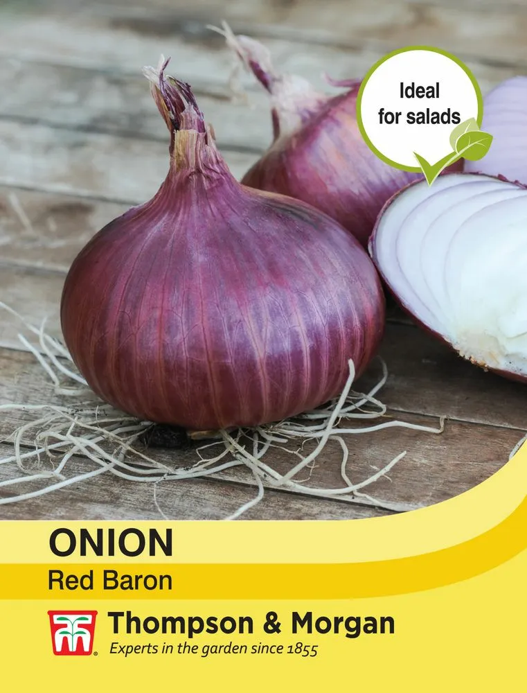 Onion Red Baron - Cowell's Garden Centre | Woolsington