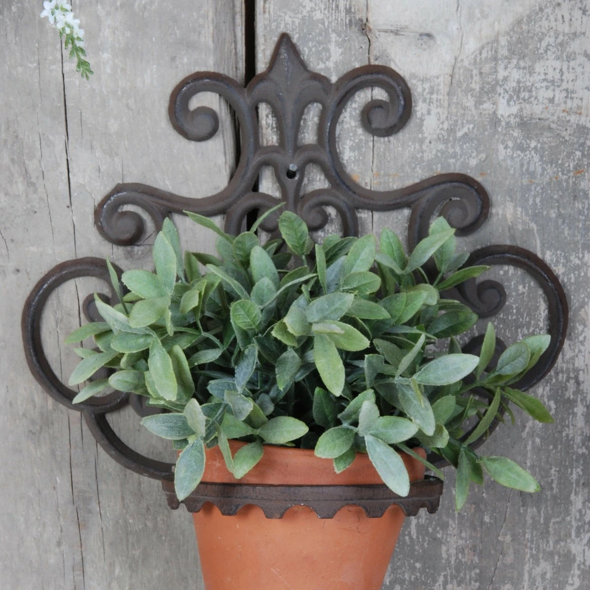 Ornate Hanging Pot Holder - Cowell's Garden Centre | Woolsington