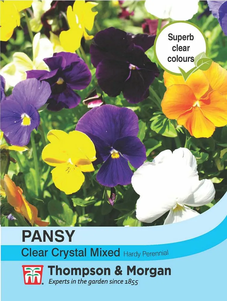 Pansy Clear Crystal Mixed - Cowell's Garden Centre | Woolsington