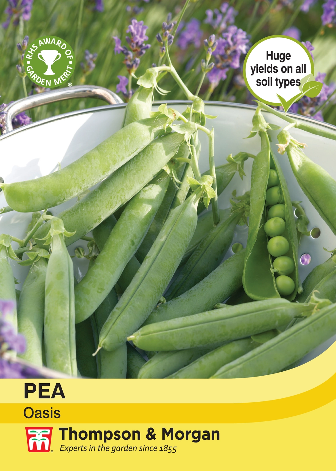 Pea Oasis Seeds - Cowell's Garden Centre | Woolsington