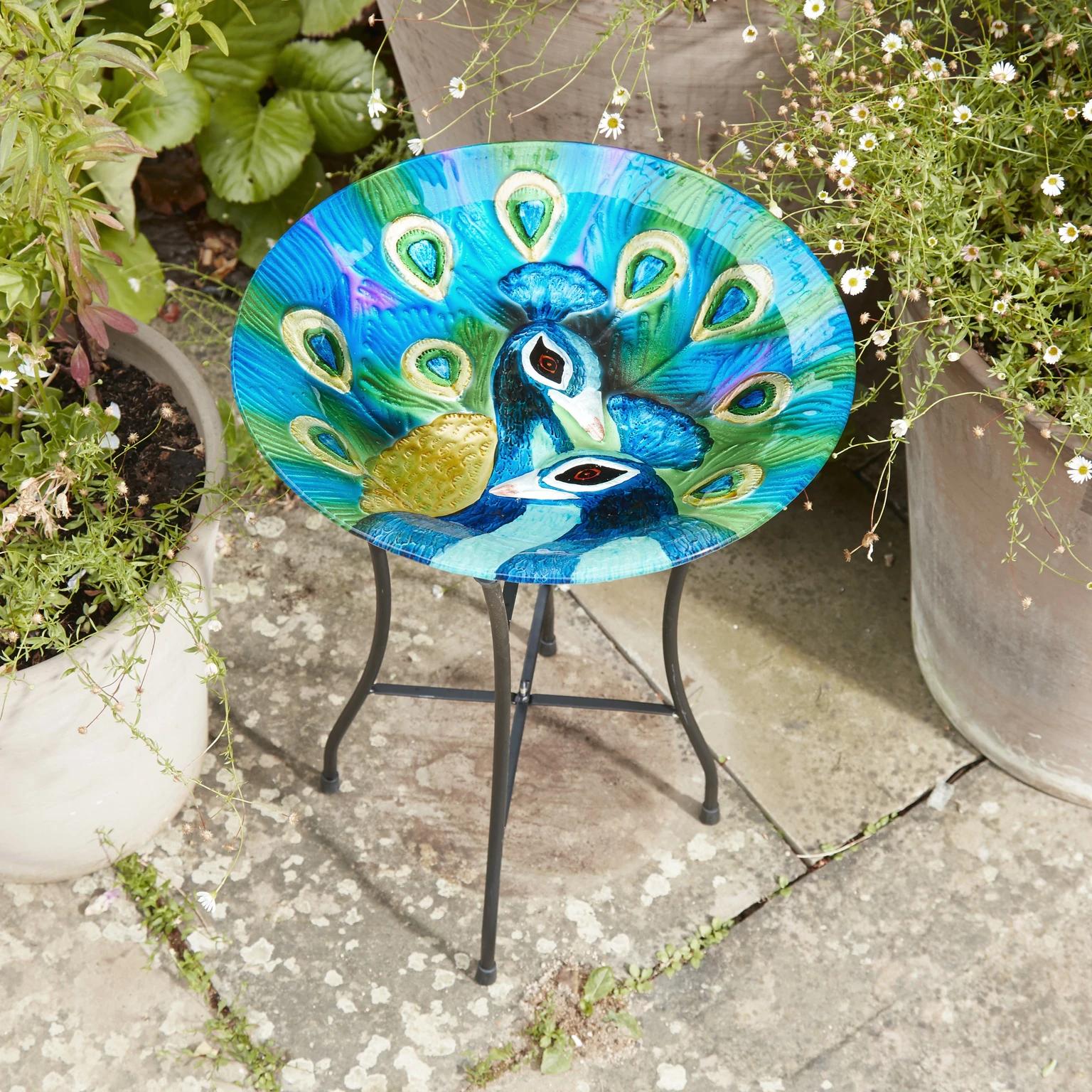 Peacock Glass Bird Bath - Cowell's Garden Centre | Woolsington