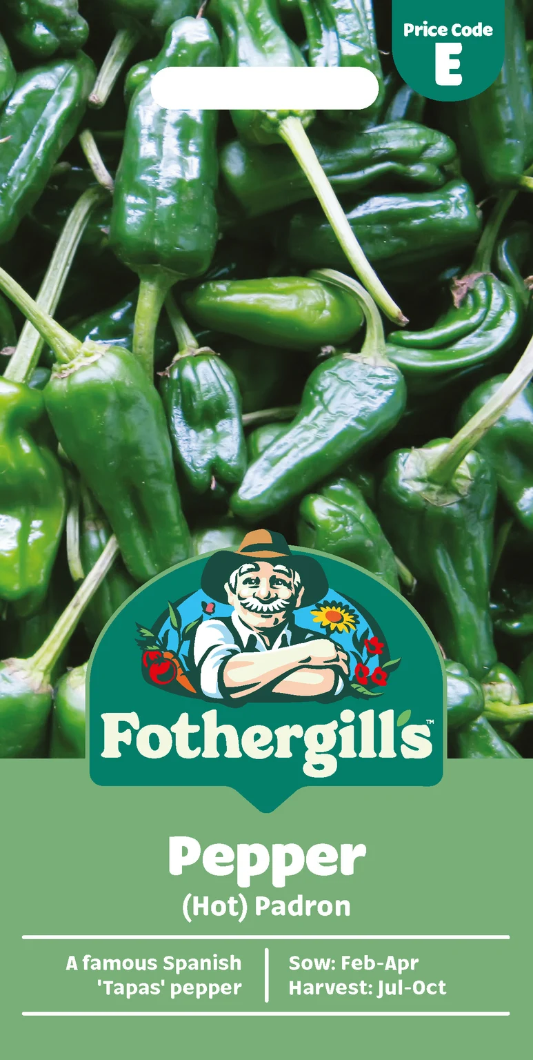 Pepper (Chilli) Padron Seeds - Cowell's Garden Centre | Woolsington