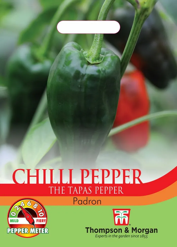 Pepper (Chilli) Padron Seeds - Cowell's Garden Centre | Woolsington