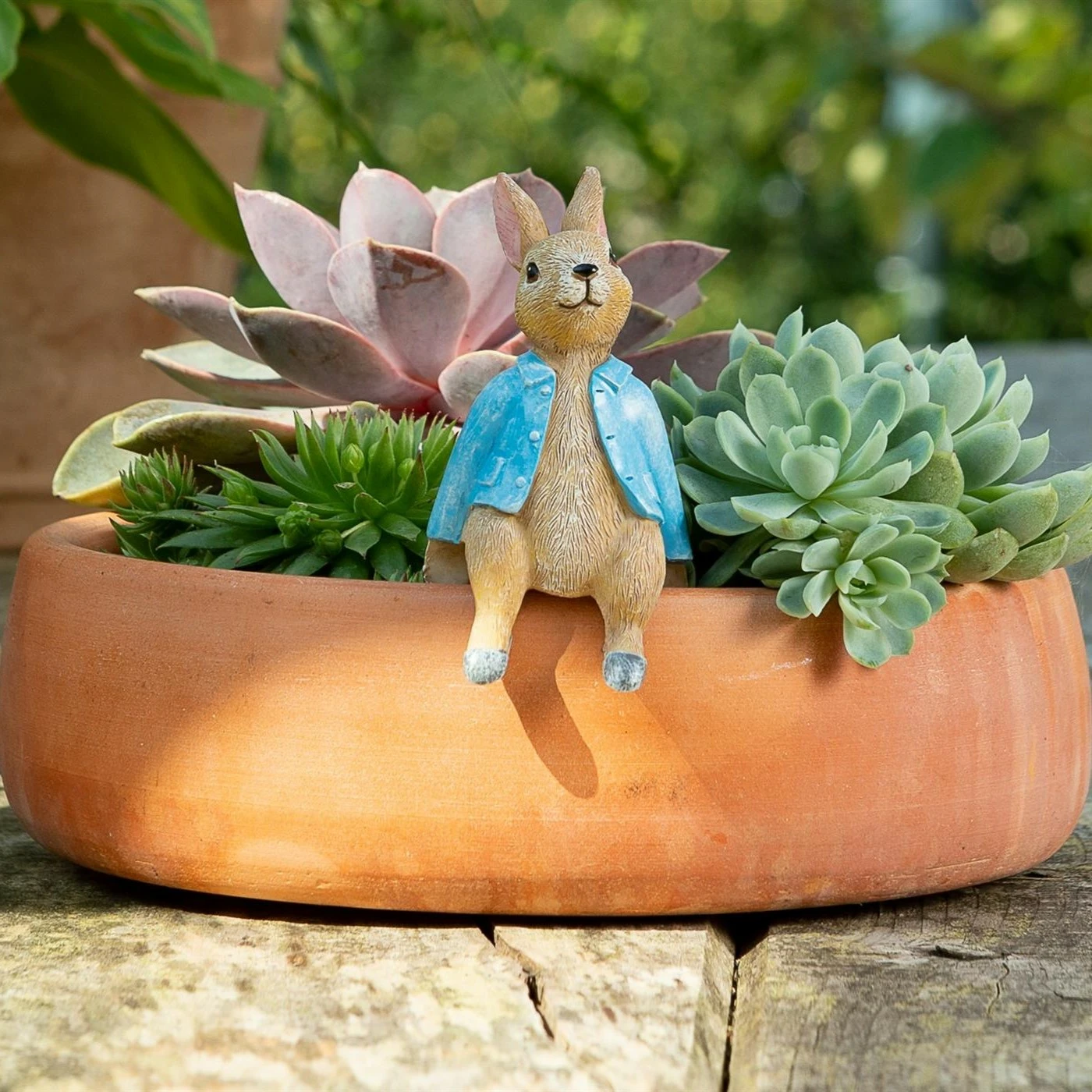 Peter Rabbit Sitting Pot Buddy - Cowell's Garden Centre | Woolsington