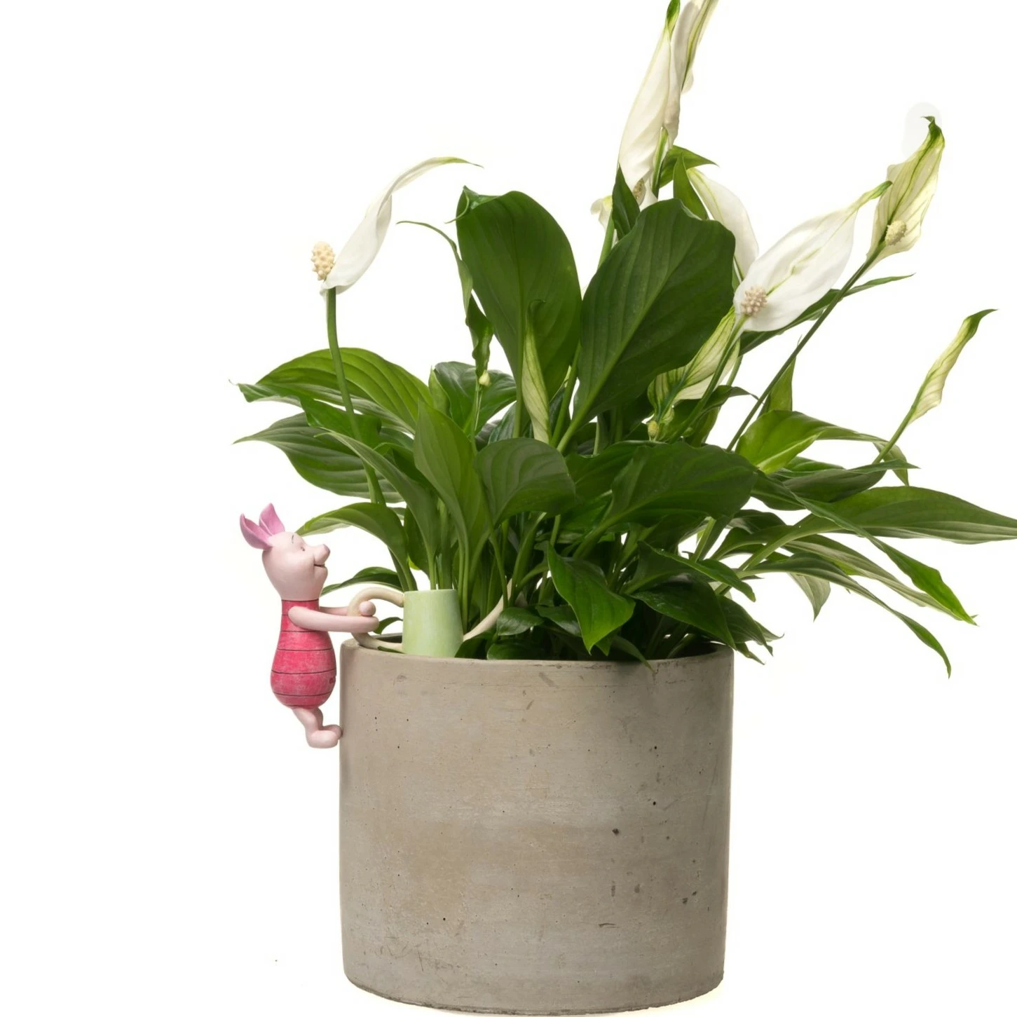 Piglet Hanging Pot Buddy - Cowell's Garden Centre | Woolsington