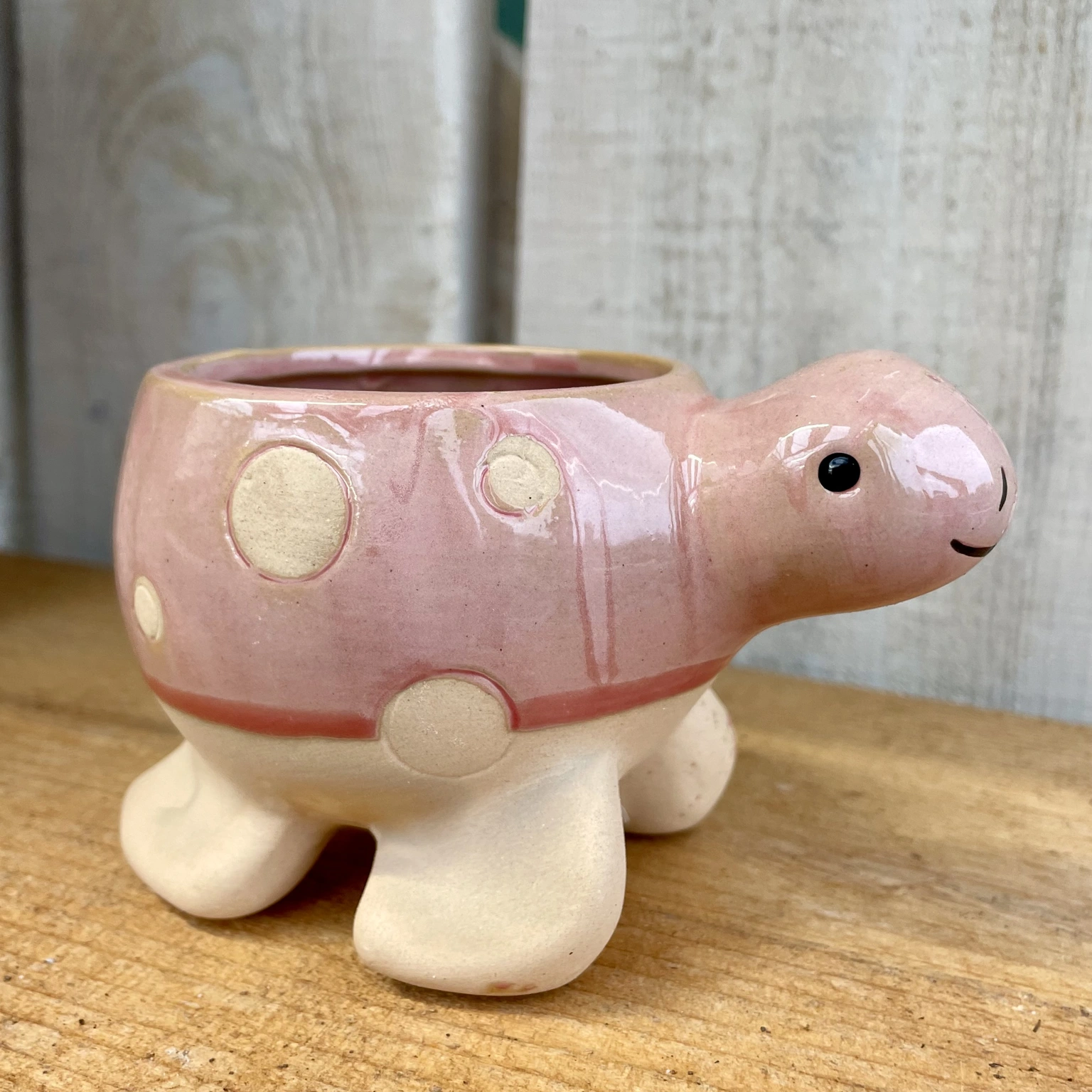 Pink Turtle Pot - ⌀ 6cm - Cowell's Garden Centre | Woolsington