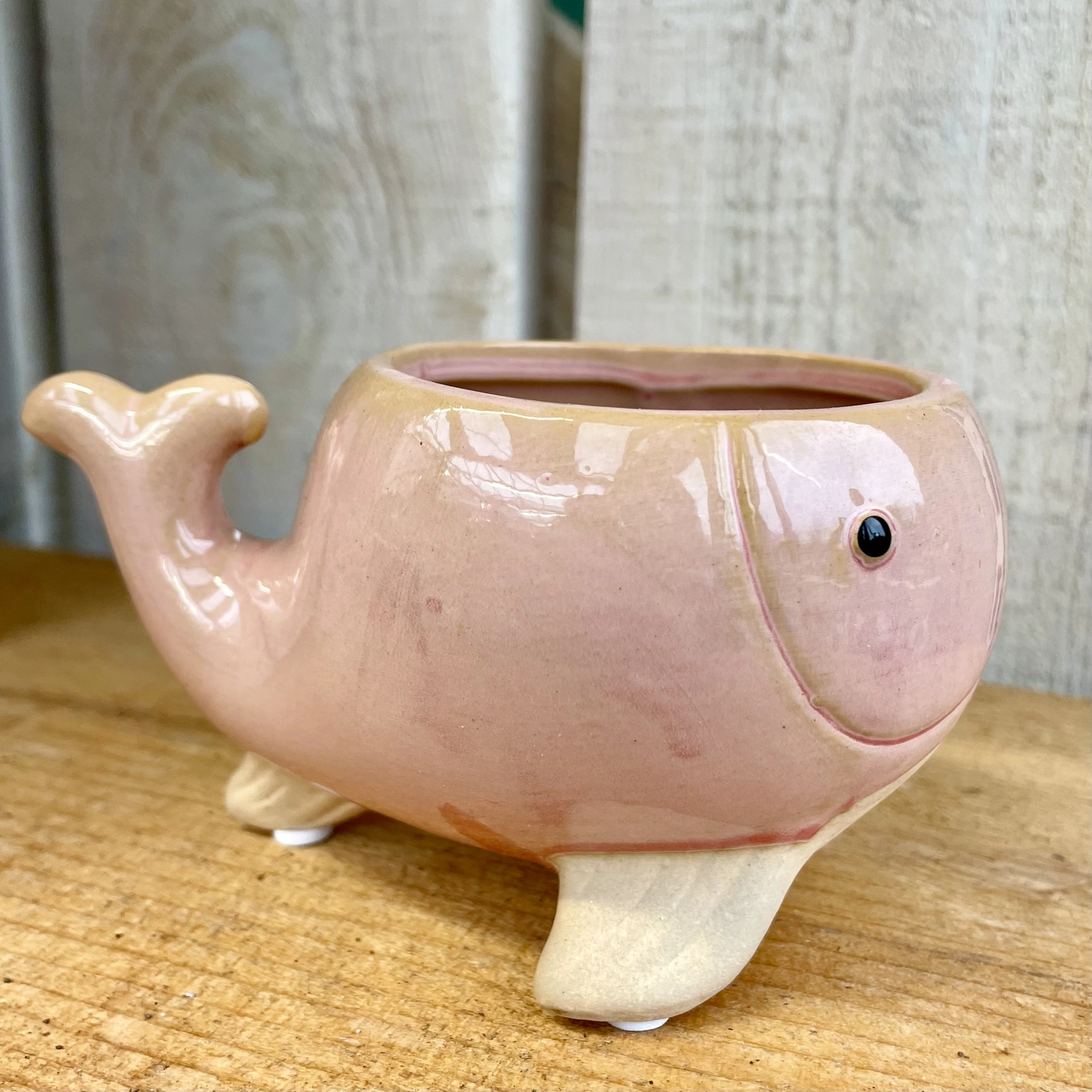 Pink Whale Pot - ⌀ 6cm - Cowell's Garden Centre | Woolsington
