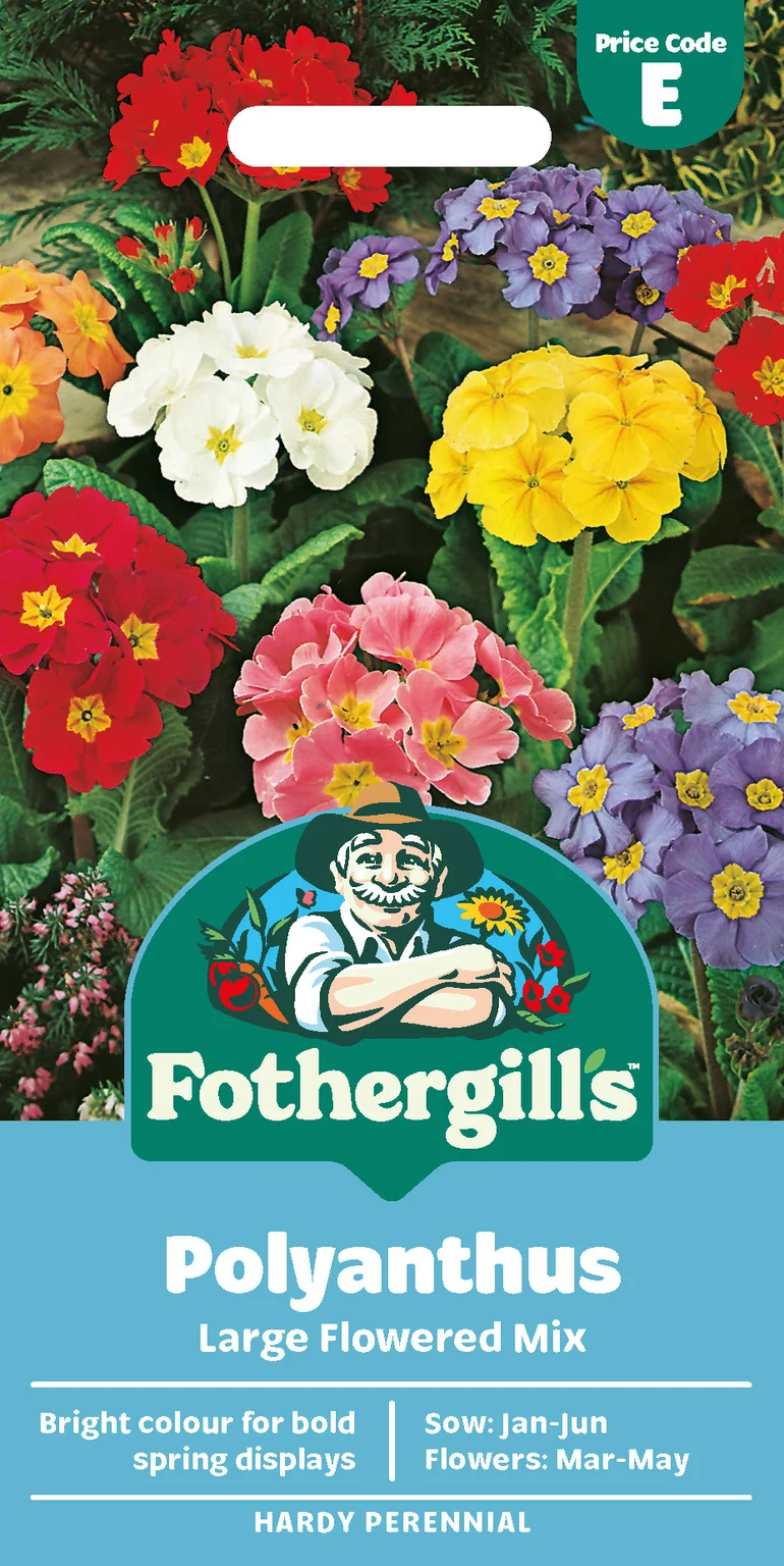 Polyanthus Large Flowered Mix Seeds - Cowell's Garden Centre | Woolsington