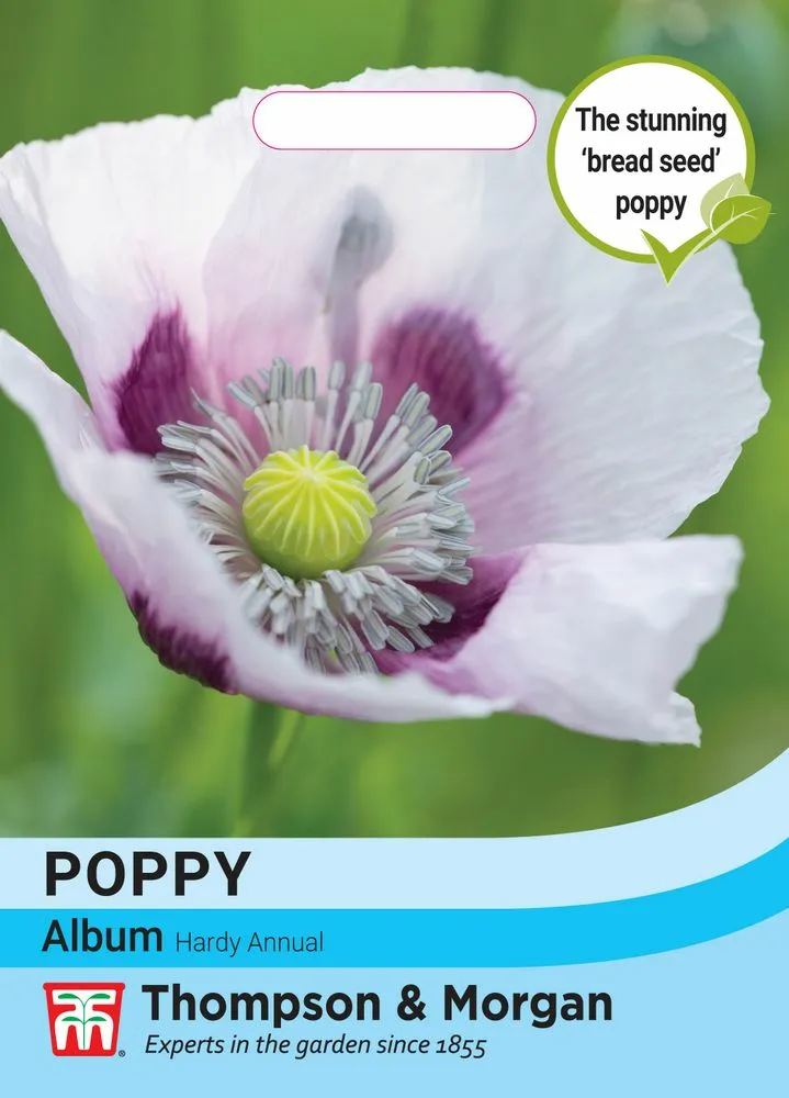 Poppy Album - Cowell's Garden Centre | Woolsington