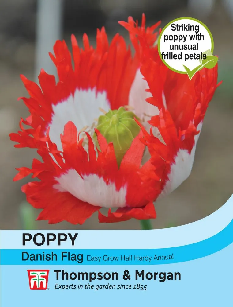 Poppy Danish Flag - Cowell's Garden Centre | Woolsington