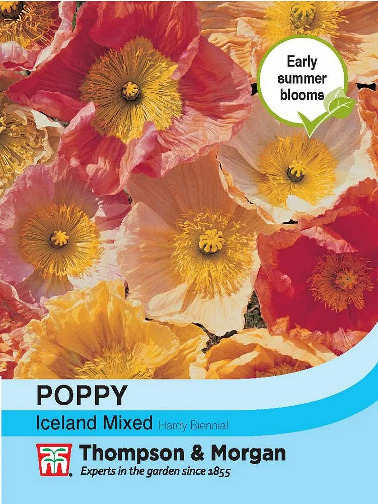 Poppy Iceland Mixed - Cowell's Garden Centre | Woolsington