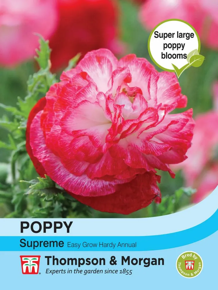 Poppy Supreme - Cowell's Garden Centre | Woolsington