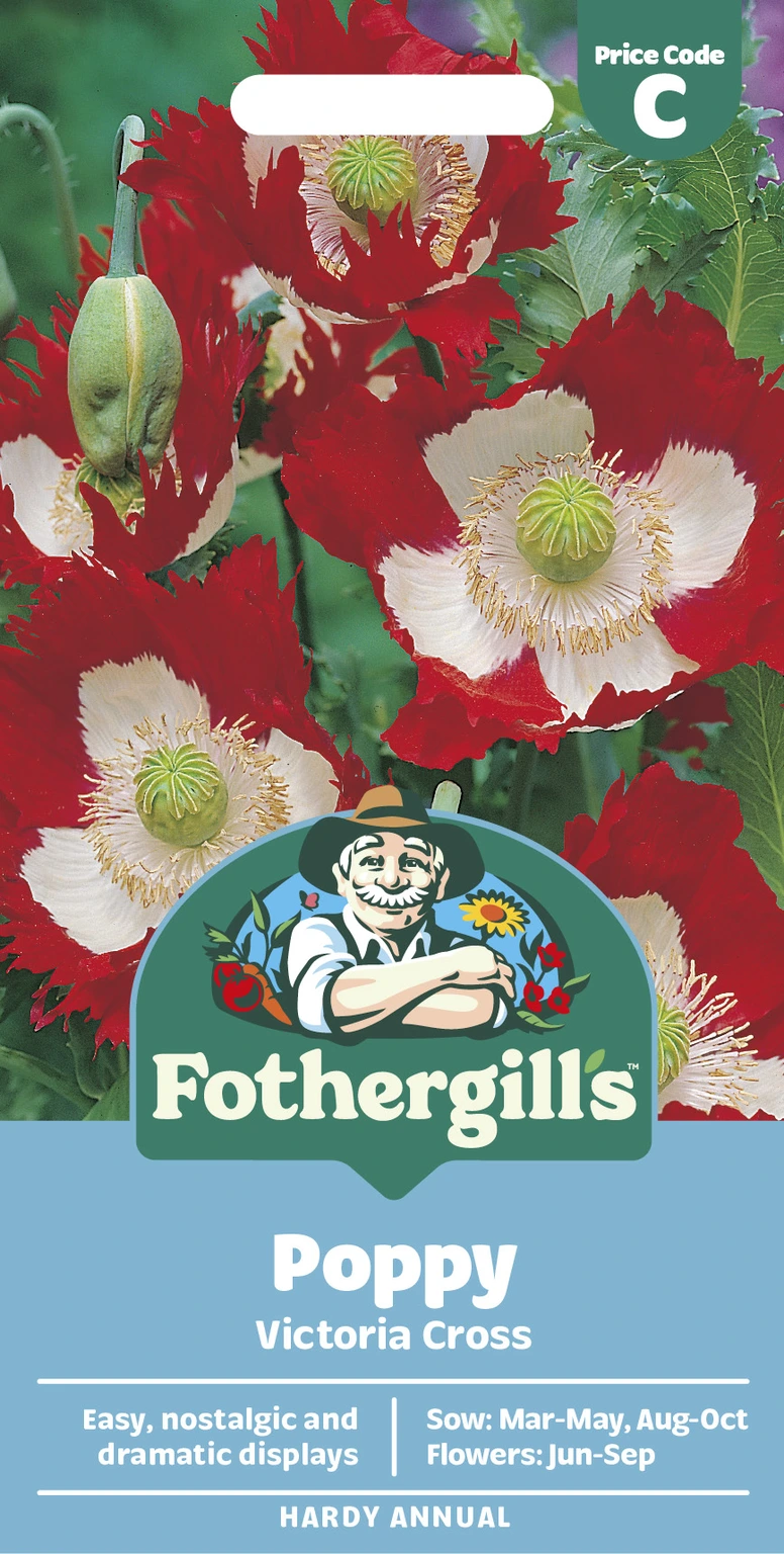 Poppy Victoria Cross Seeds - Cowell's Garden Centre | Woolsington