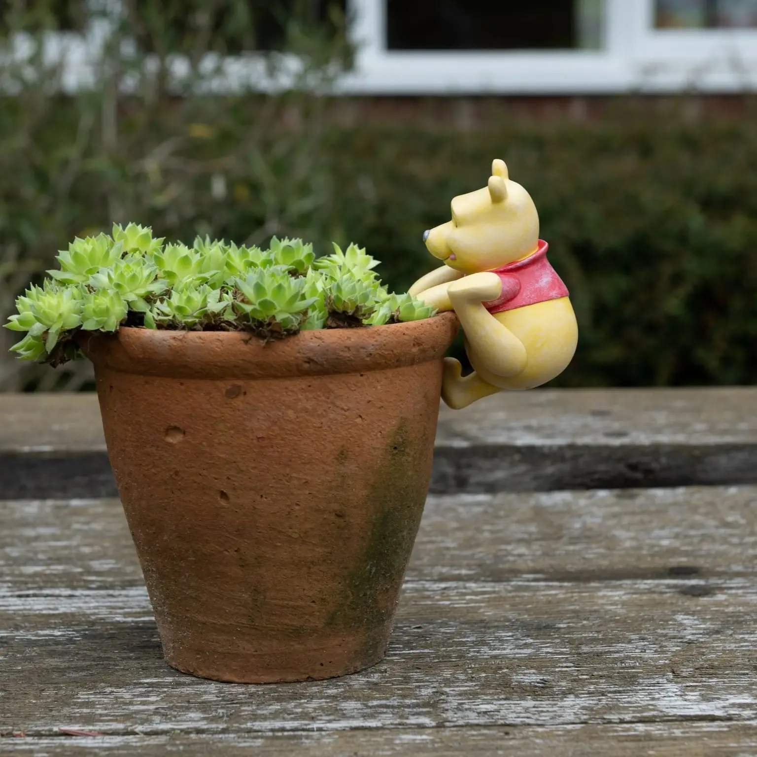 Winnie The Pooh Climbing Pot Buddy - Cowell's Garden Centre | Woolsington