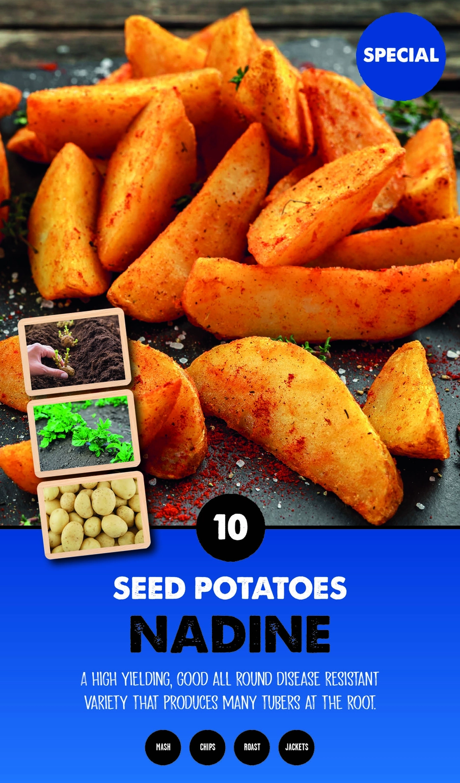 Potato Nadine - Taster Pack - Cowell's Garden Centre | Woolsington