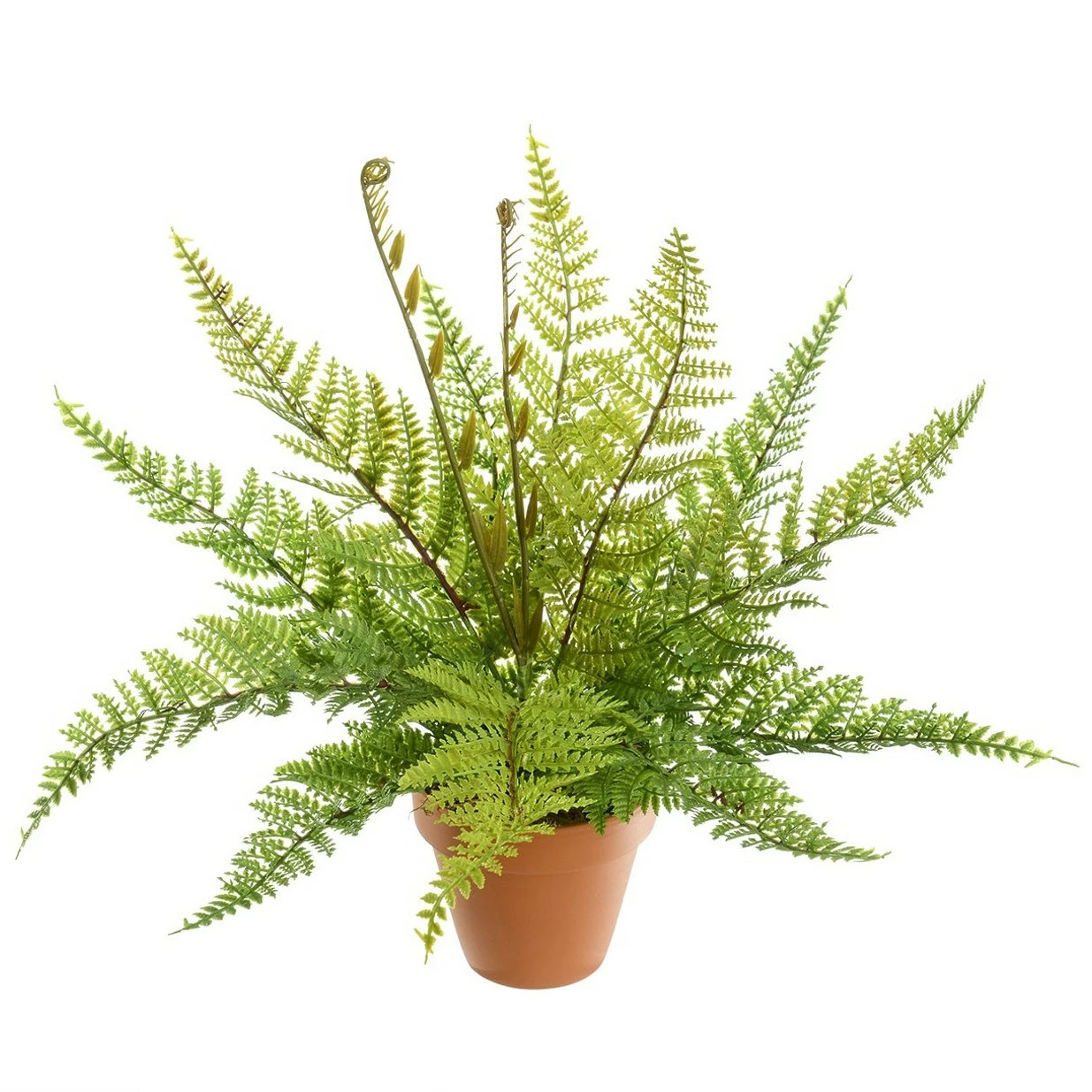 Potted Artificial Fern - Cowell's Garden Centre | Woolsington