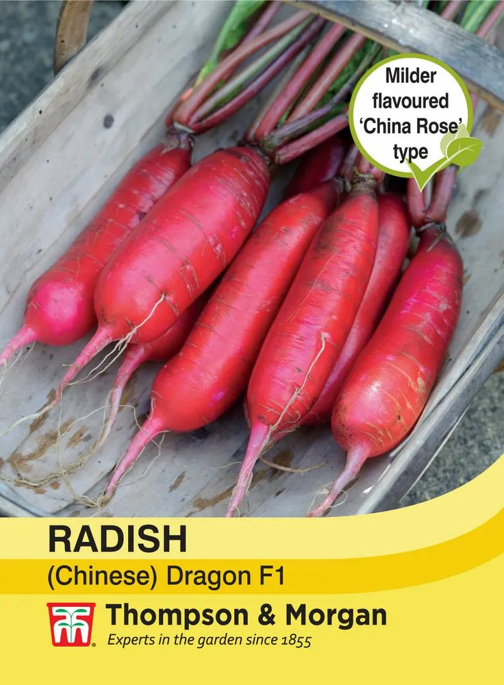 Radish (Chinese) Dragon F1 Seeds - Cowell's Garden Centre | Woolsington