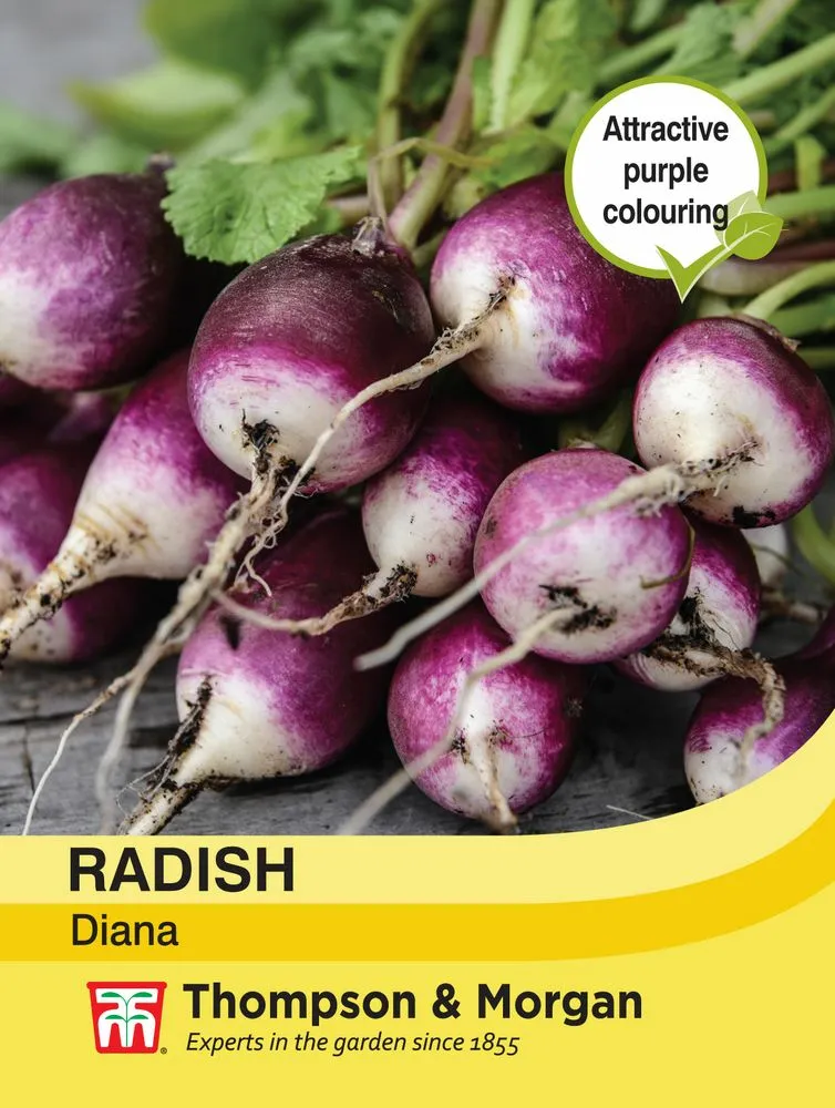 Radish Diana Seeds - Cowell's Garden Centre | Woolsington