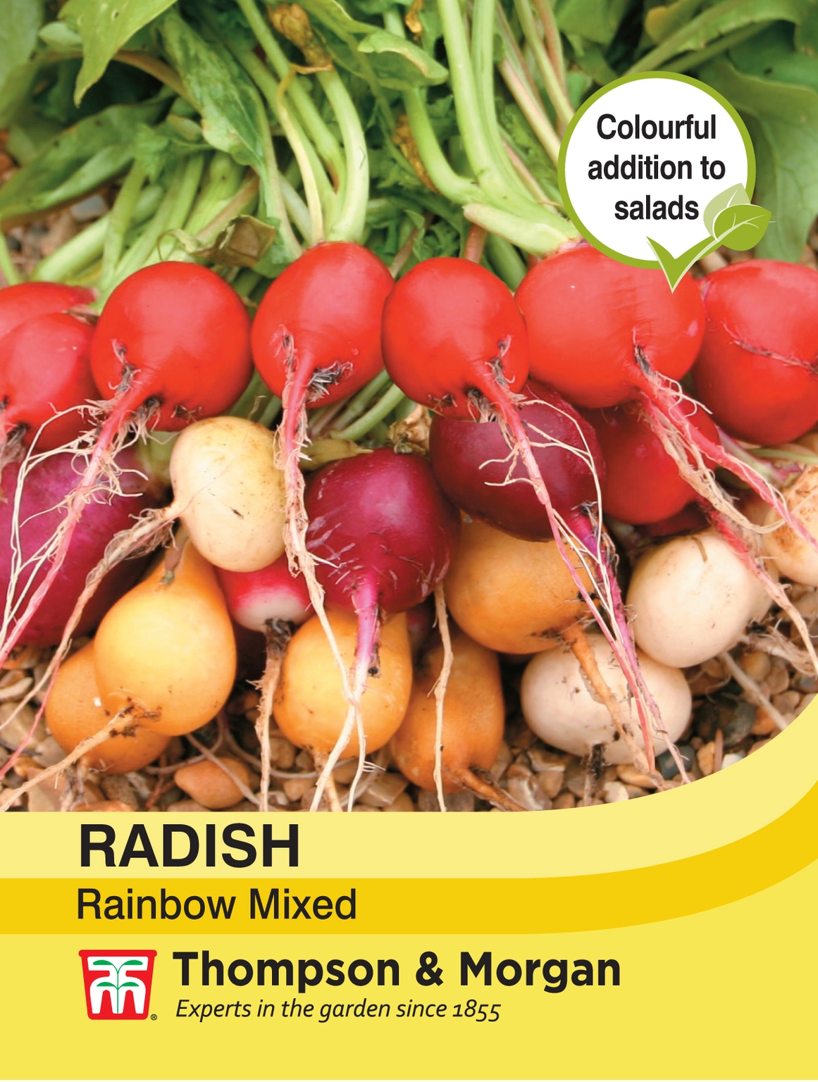 Radish Rainbow Mixed Seeds - Cowell's Garden Centre | Woolsington