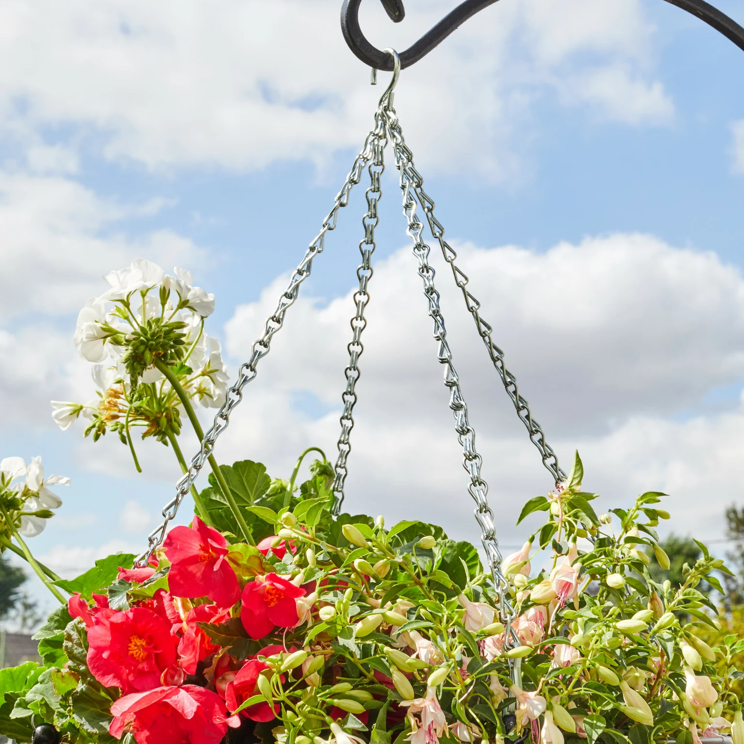 Replacement Heavy Duty Hanging Basket Chain - Cowell's Garden Centre ...