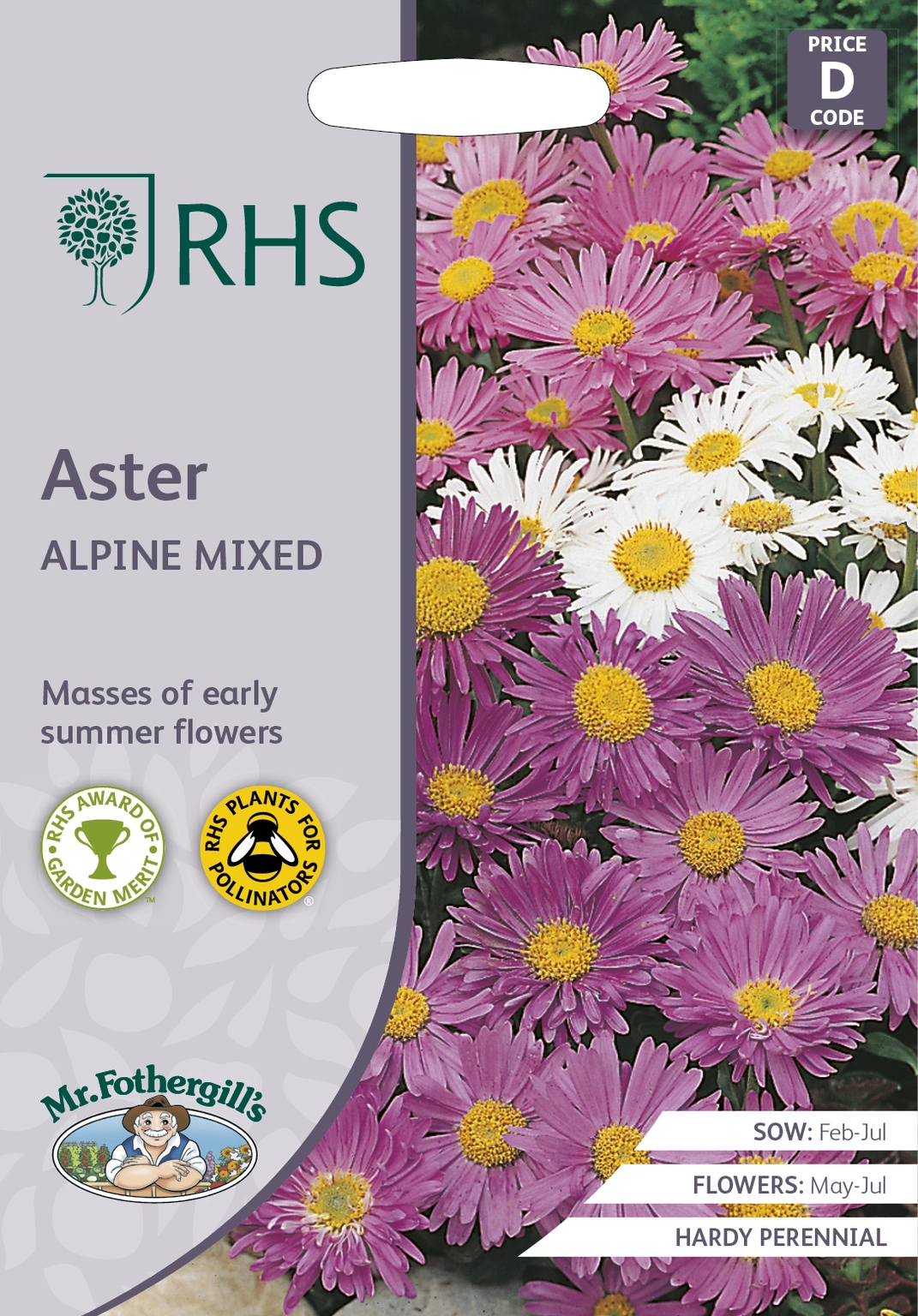 RHS Aster Alpine Mixed Seeds - Cowell's Garden Centre | Woolsington