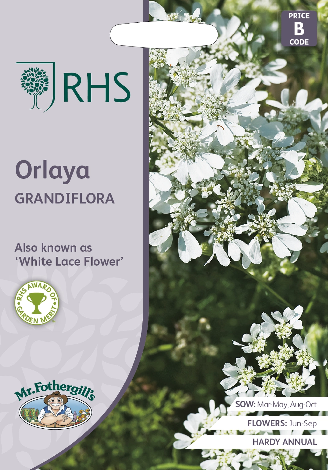 RHS Orlaya grandiflora Seeds - Cowell's Garden Centre | Woolsington