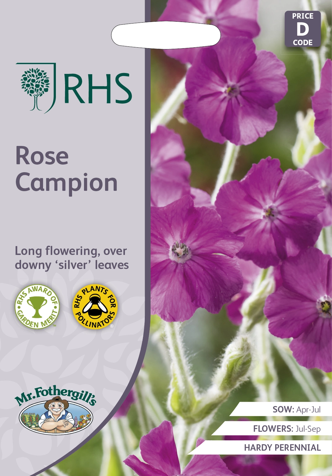 RHS Rose Campion Seeds - Cowell's Garden Centre | Woolsington