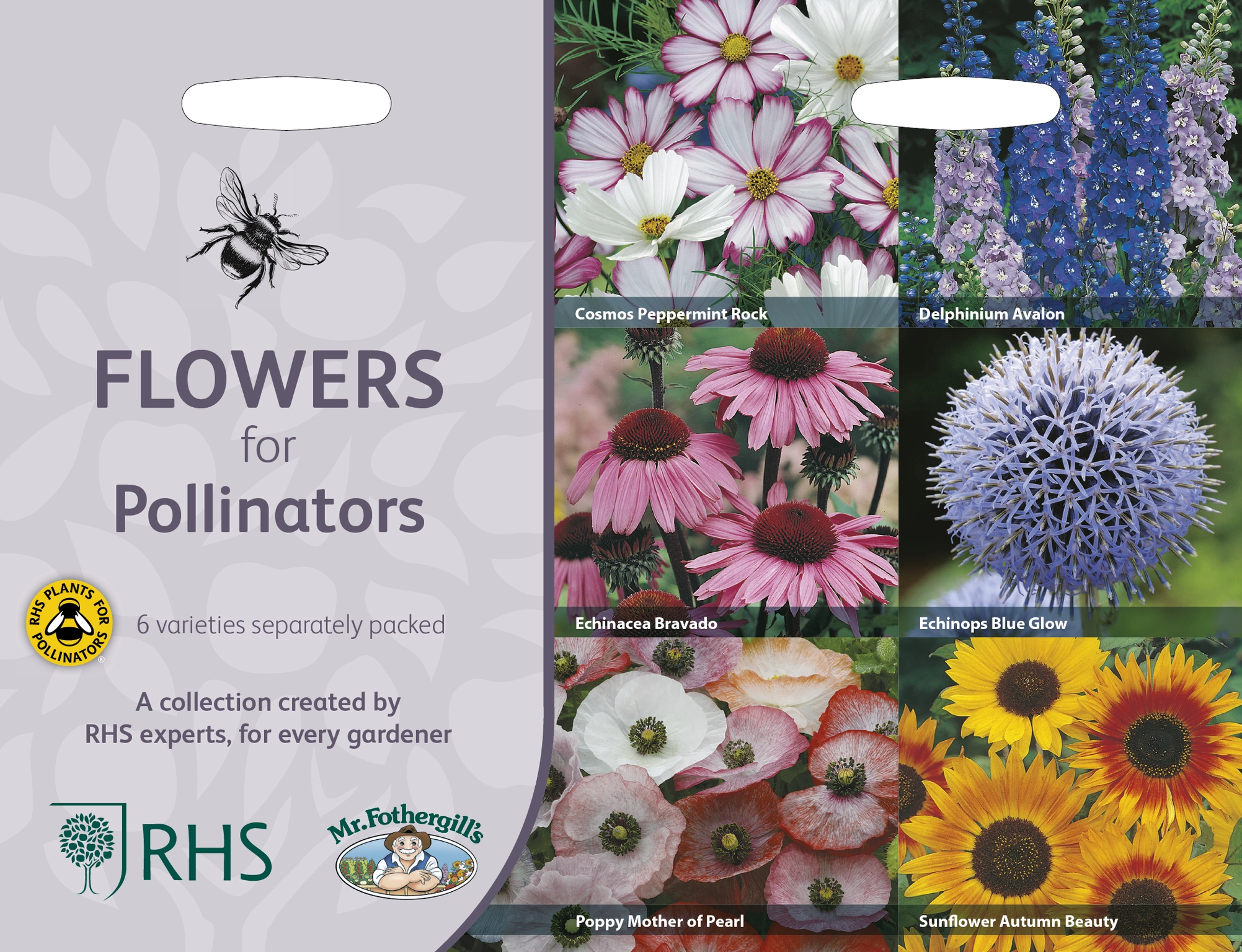 RHS Flowers For Pollinators Seed Collection - Cowell's Garden Centre ...