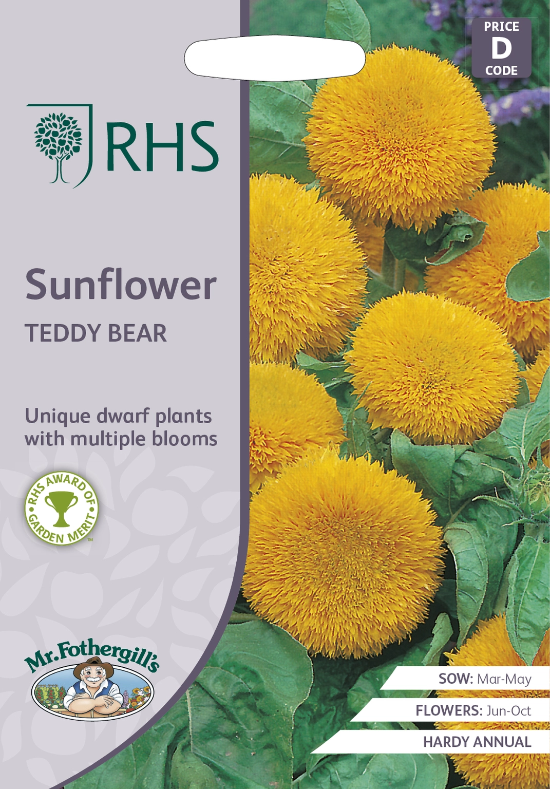 RHS Sunflower Teddy Bear Seeds - Cowell's Garden Centre | Woolsington