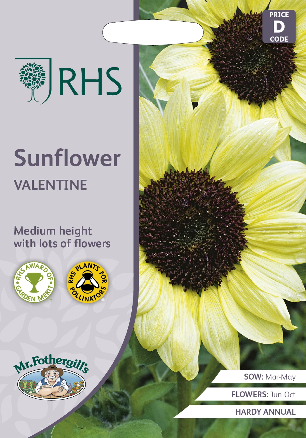 RHS Sunflower Valentine Seeds - Cowell's Garden Centre | Woolsington