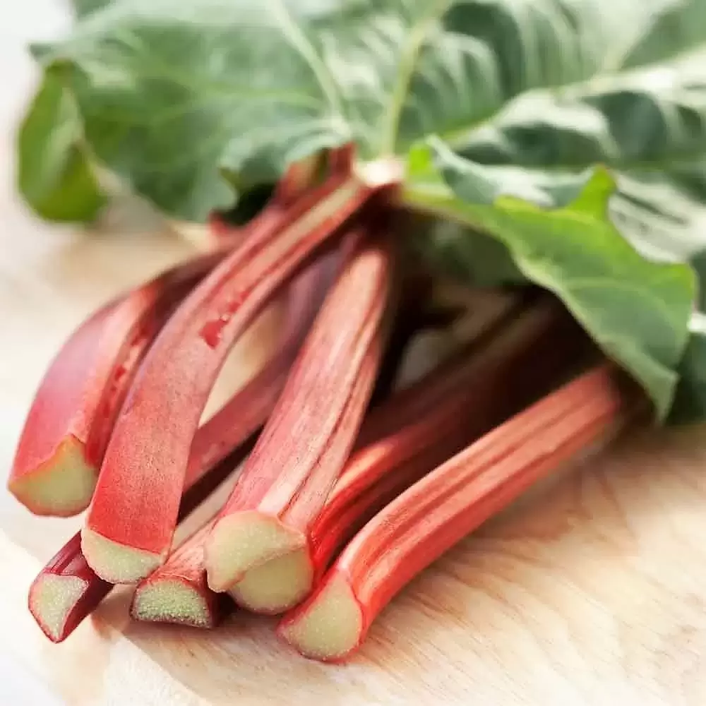 Rhubarb 'Timperley Early' - Cowell's Garden Centre | Woolsington