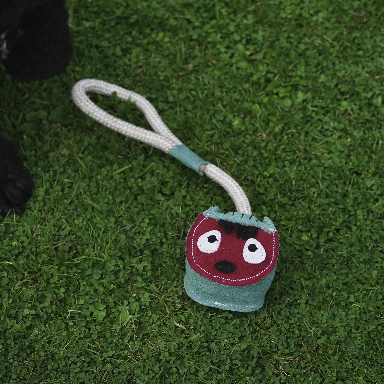 Rope Tuff Toy - Cowell's Garden Centre | Woolsington