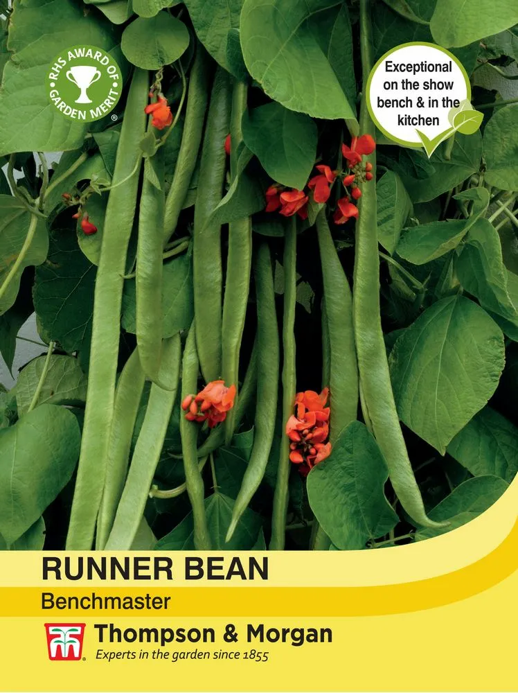 Runner Bean Benchmaster - Cowell's Garden Centre | Woolsington