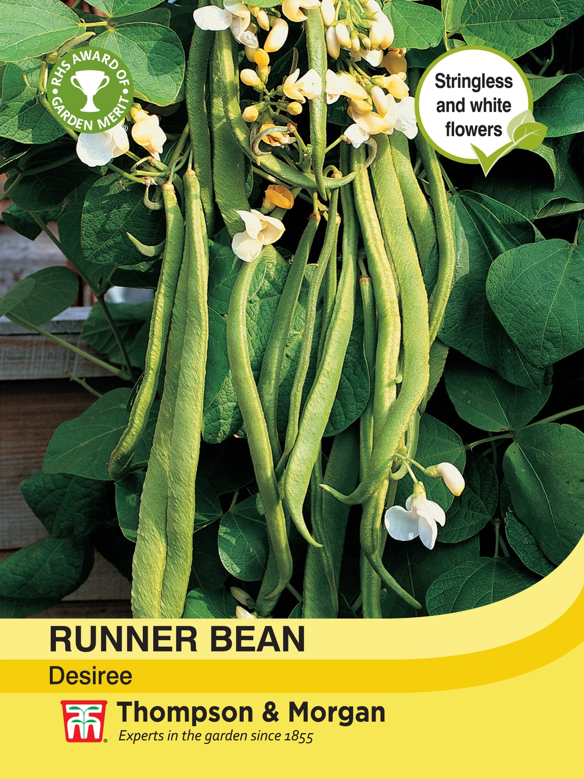 Runner Bean Desiree - Cowell's Garden Centre | Woolsington