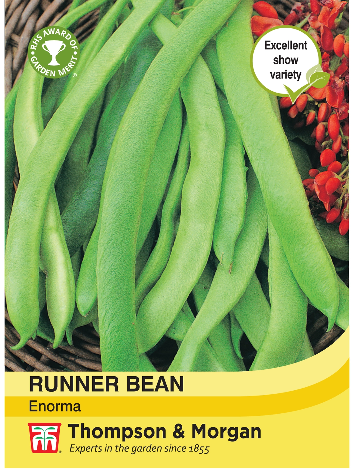 Runner Bean Enorma - Cowell's Garden Centre | Woolsington