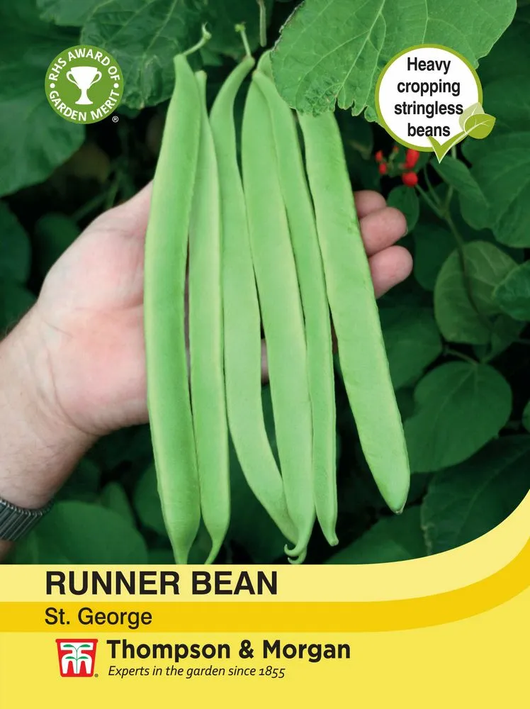 Runner Bean St. George - Cowell's Garden Centre | Woolsington