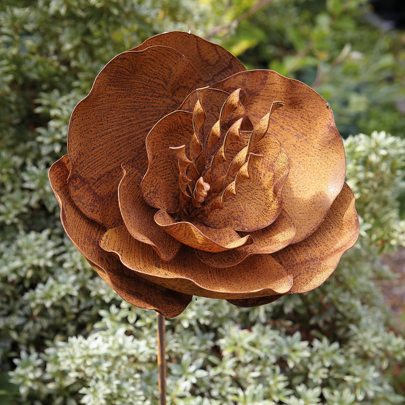 Rustic Oriental Poppy Stake - Cowell's Garden Centre | Woolsington