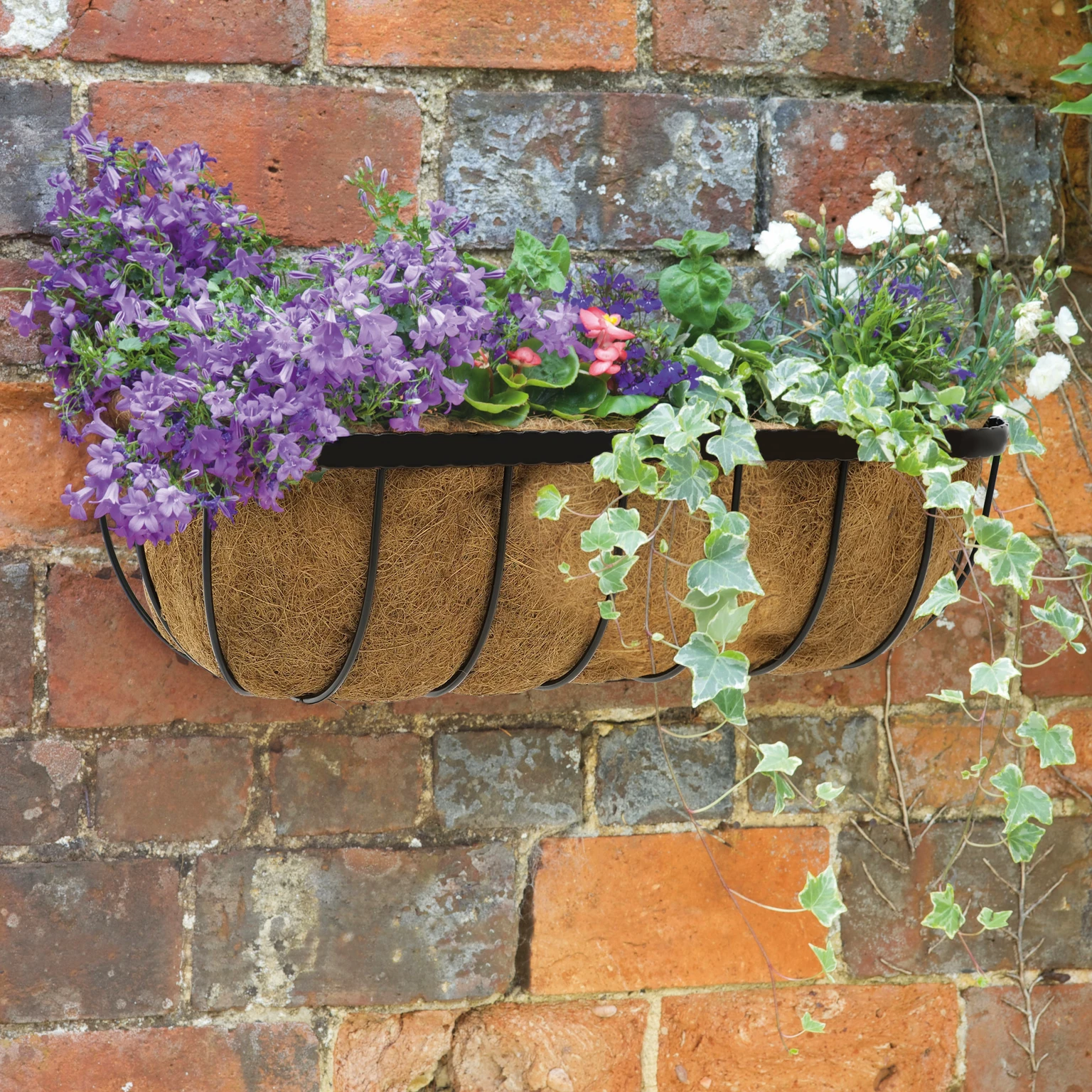 Saxon Wall Trough 60cm - Cowell's Garden Centre | Woolsington